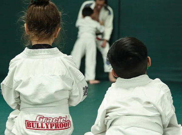 Gracie Bullyproof Reference Guide